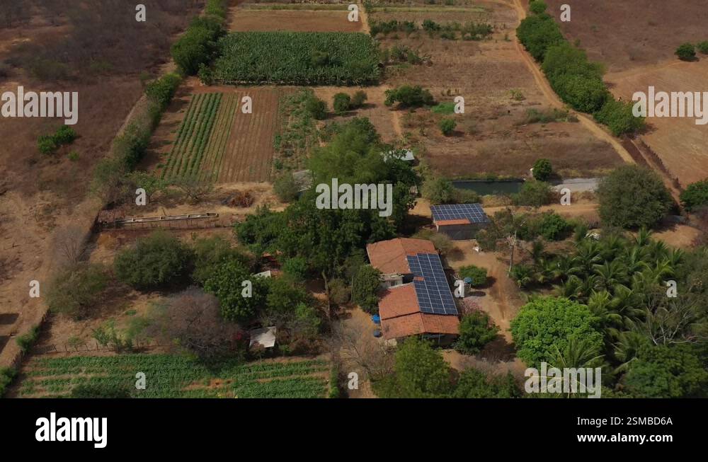 Fields of crops on barren desert land. Organic farming Brazil. Aerial ...
