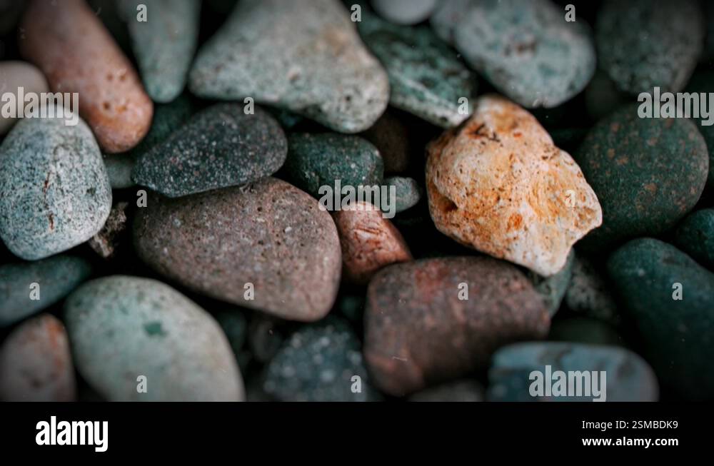 An animated sequence of multiple stills showcases beautiful, colorful ...