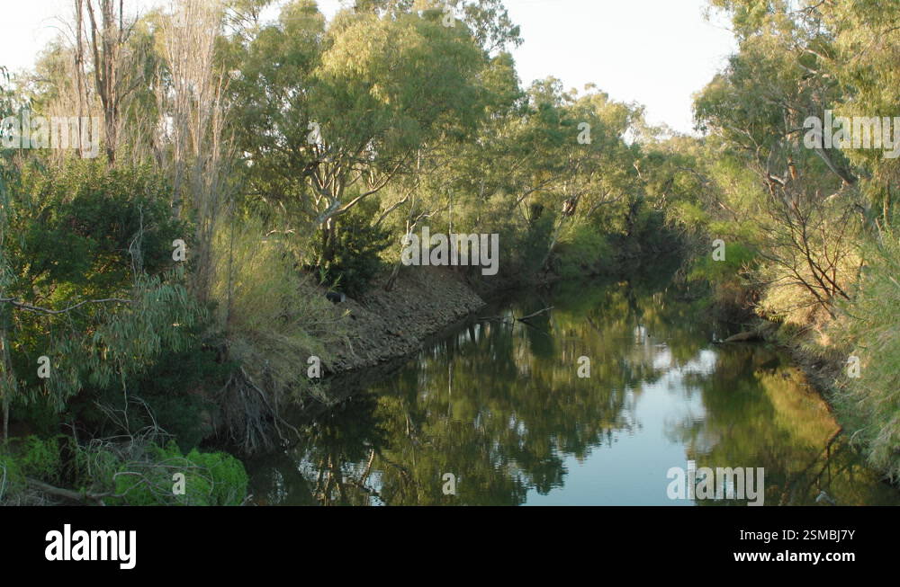 Low river water levels Stock Videos & Footage - HD and 4K Video Clips ...