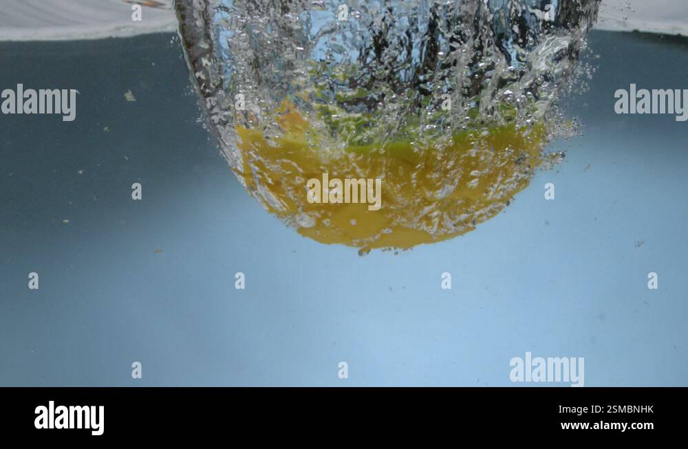 Mango falling into water in super slow motion with blue background ...