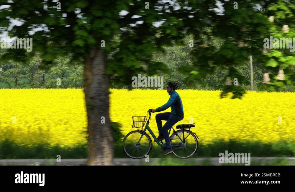 Side view tracking follows man commuting on relaxed city bike by ...