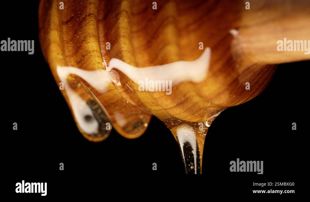 Process of beekeeping Stock Videos & Footage - HD and 4K Video Clips ...