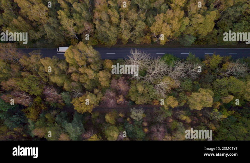 Aerial top-down view of a van driving on a road through a forest with ...