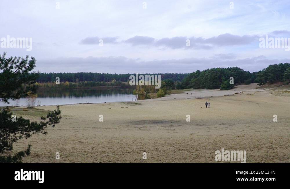 Time lapse, People walking around a beach lake, scenic forest ...