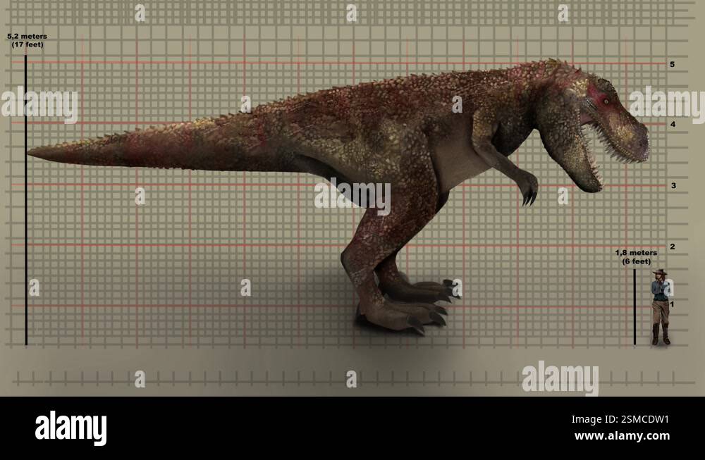 Cartoon illustration tyrannosaurus rex Stock Videos & Footage - HD and ...