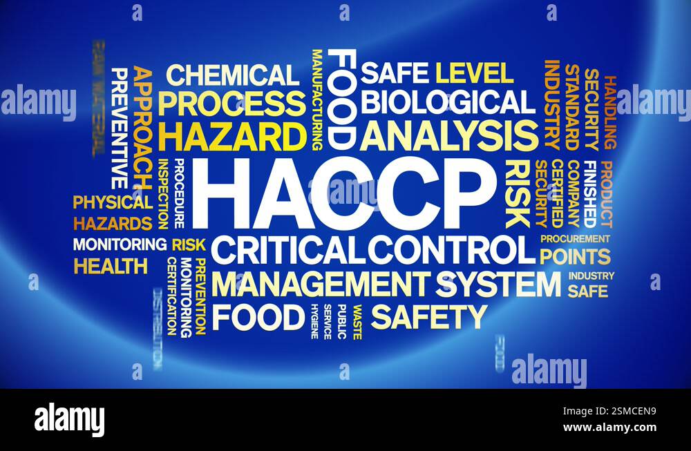 HACCP animated word cloud,animation tag text kinetic typography seamless loop Stock Video ...
