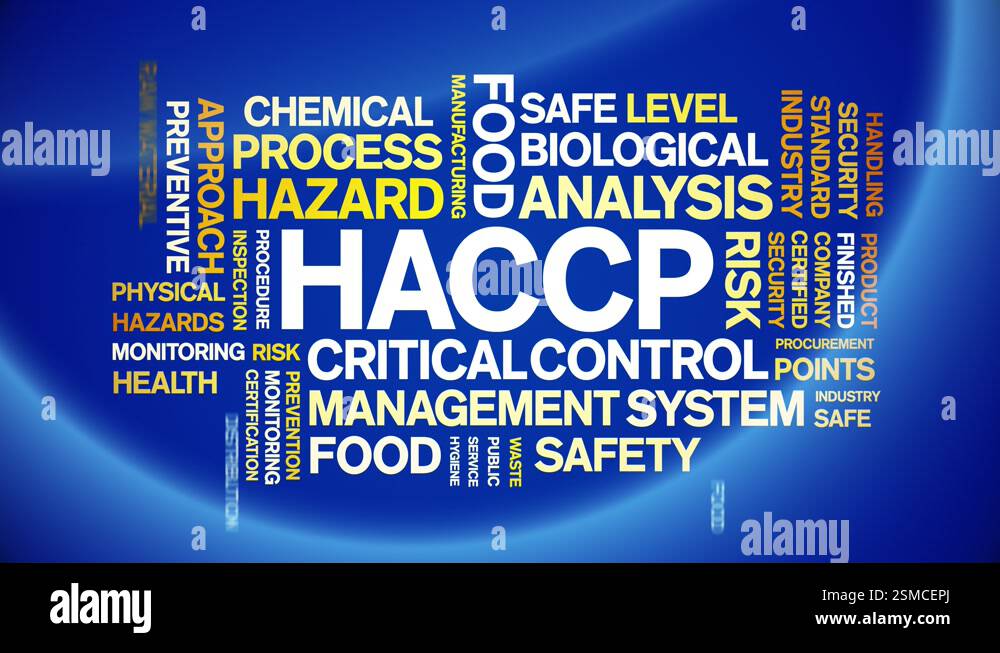 HACCP animated word cloud,animation tag text kinetic typography seamless loop Stock Video ...