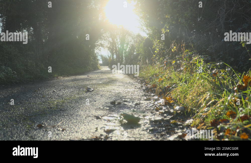 Deserted English country lane very low angle with bright early morning ...