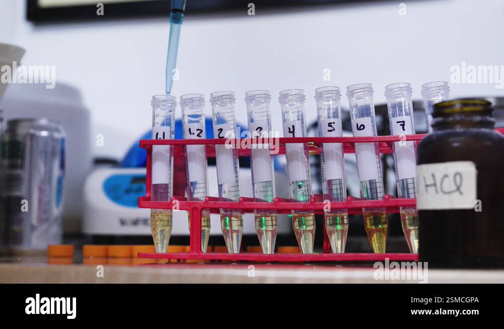 A blue-tipped pipette is used to siphon hydrochloric acid into a row of ...