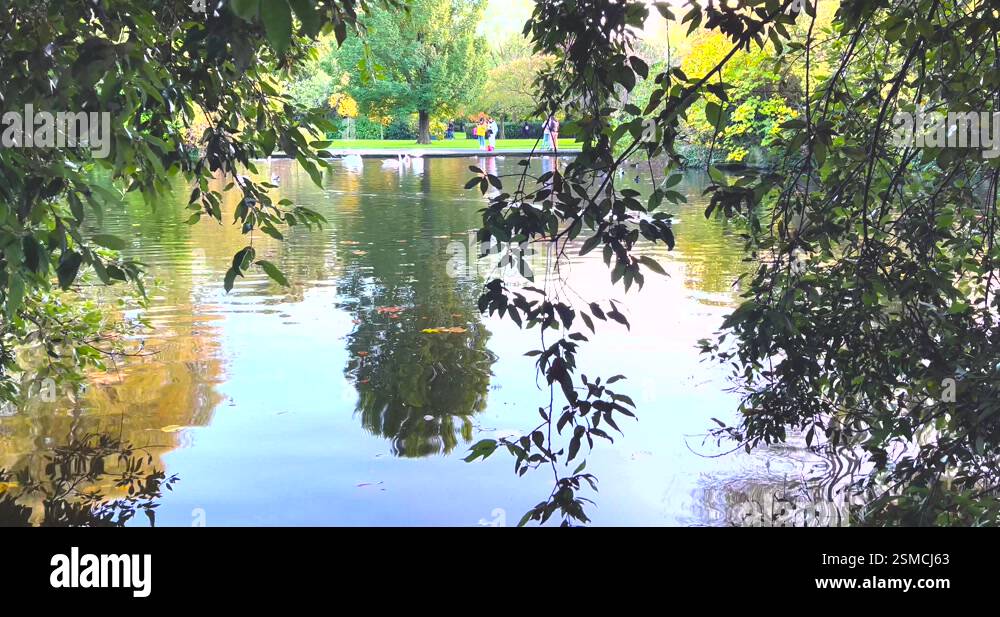 Water feature in st Stock Videos & Footage - HD and 4K Video Clips - Alamy