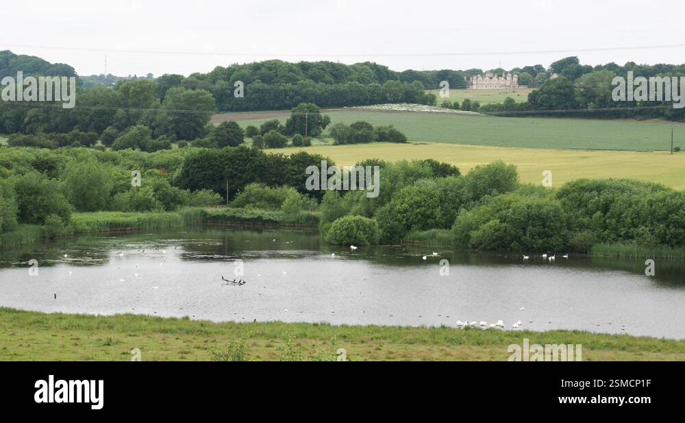 Fairburn Ings nature reserve near Swillington, Yorkshire, UK, which ...