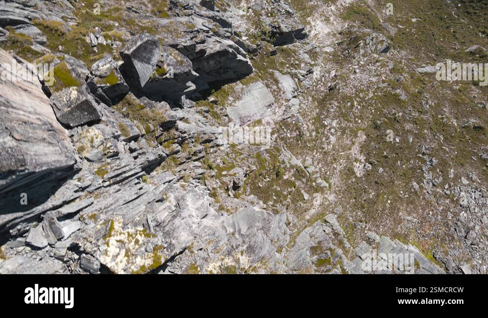 The girls lie on their stomachs and admire the magnificent view from ...