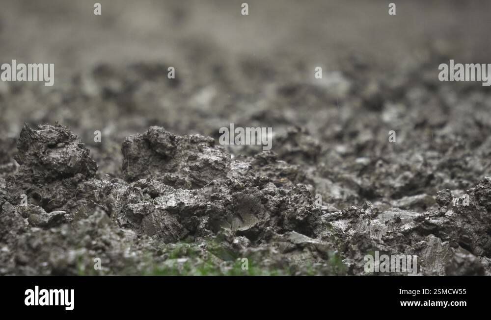 Muddy soil Stock Videos & Footage - HD and 4K Video Clips - Alamy