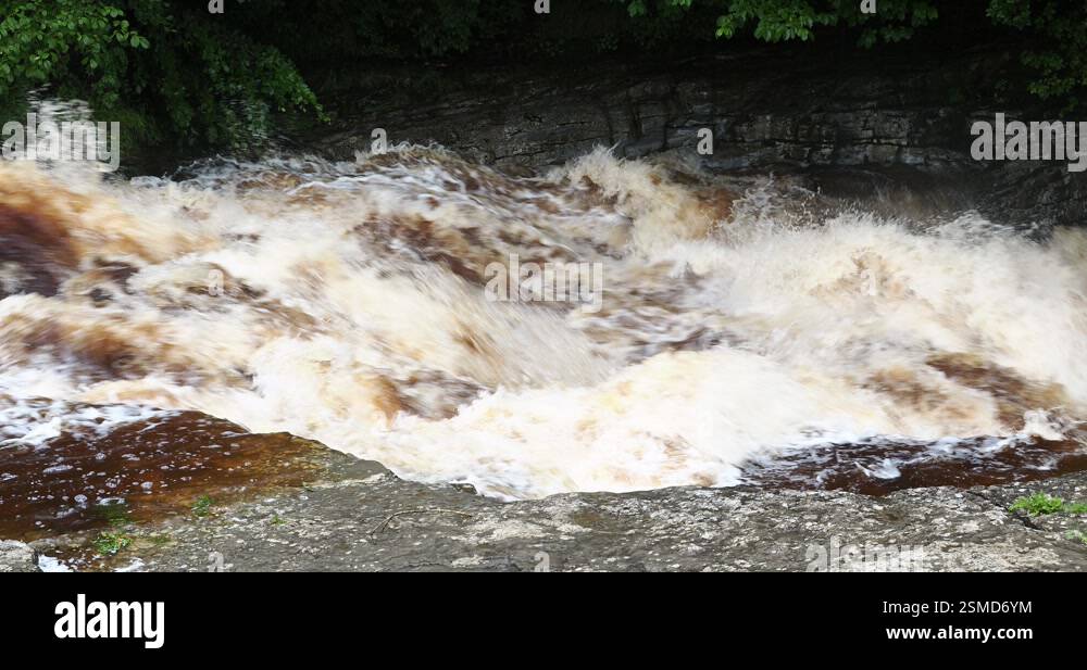 Peat stained flood waters in the River Ribble at Stainforth Force above ...