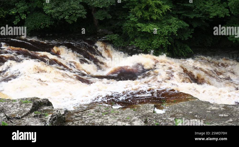 Peat stained flood waters in the River Ribble at Stainforth Force above ...