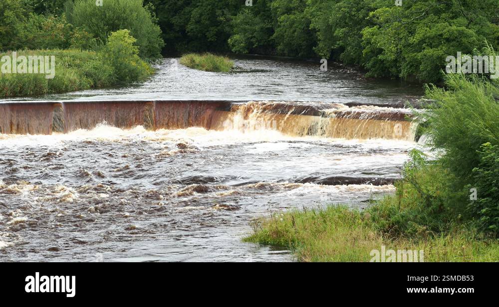 Peat stained water going over a weir in the River Ribble after heavy ...