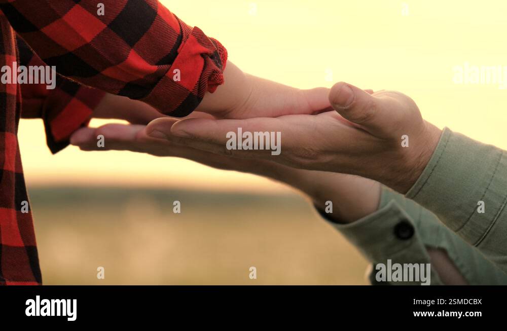 Child put hand on dad palm in open air. Small palm. Kid hand. Hands ...