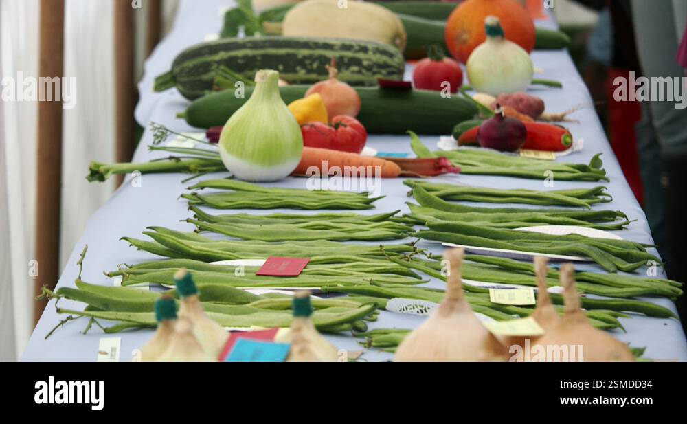 Vegetable competition Stock Videos & Footage - HD and 4K Video Clips ...