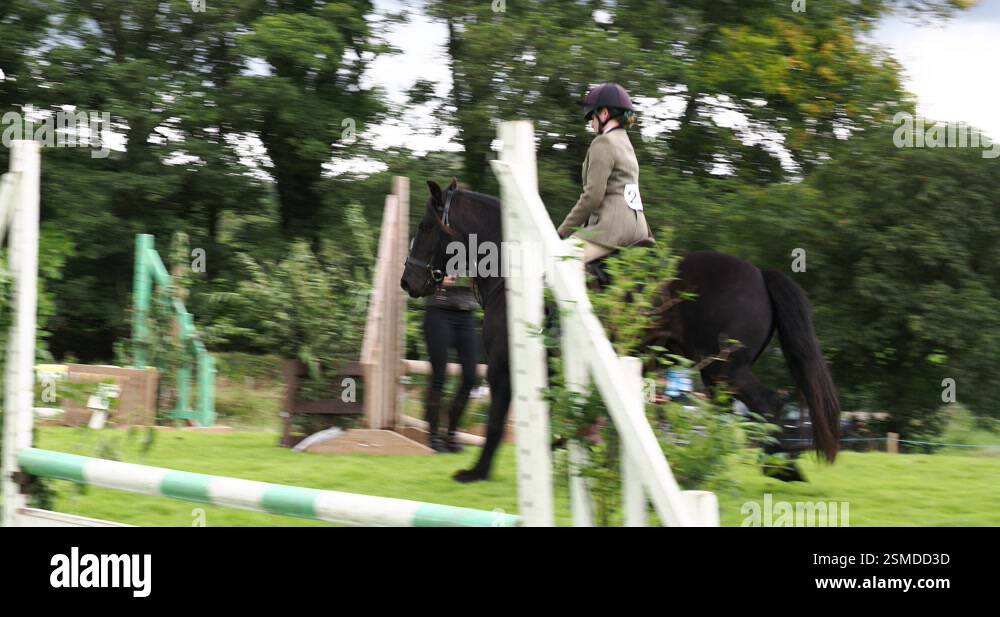 A horse at the Broughton in Furness anual agricultural show, Cumbria ...