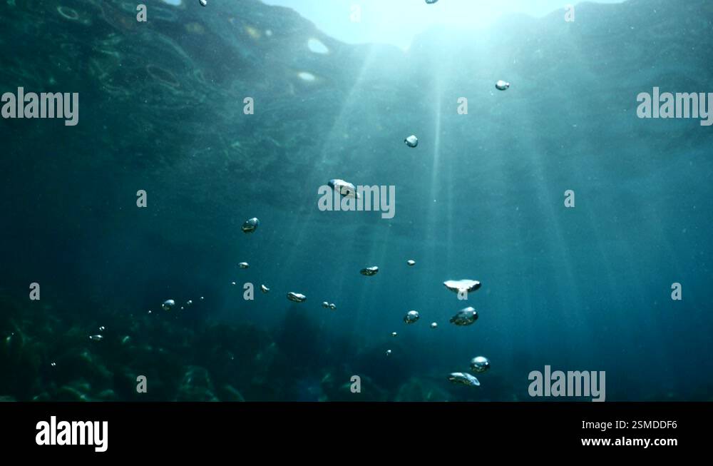 air bubbles close up underwater ocean scenery Stock Video Footage - Alamy