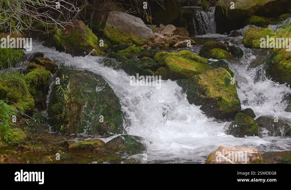 Splashing Stream Over Rocks Covered With Moss In The River. zoom Out ...