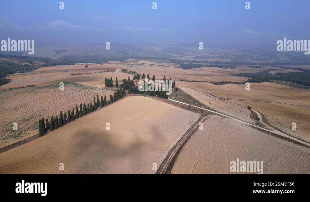 Cypress alley Majestic aerial top view flight morning fog Tuscany ...