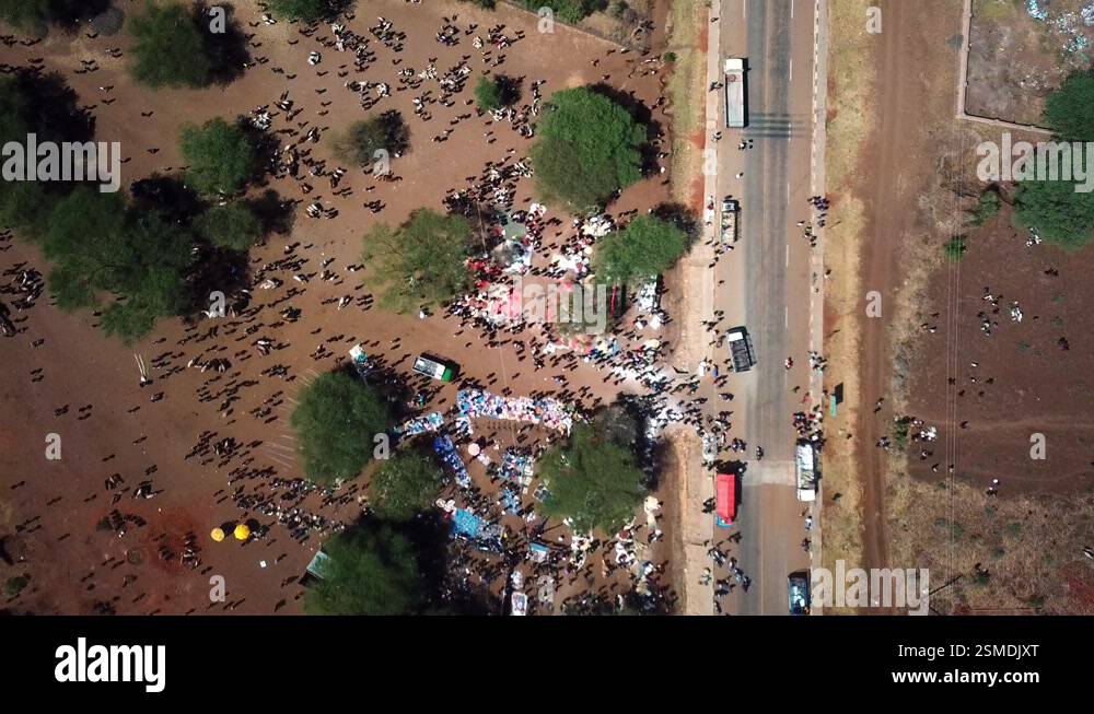 Moroto Town, Uganda, Africa - Cattle Market - Bird's Eye View Stock ...