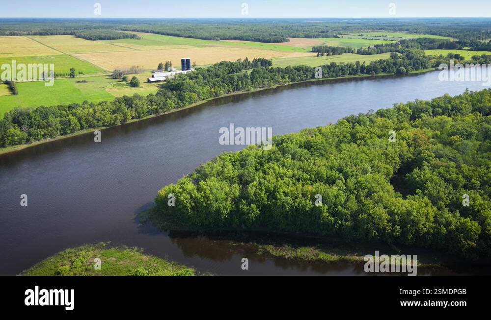 River woodland border Stock Videos & Footage - HD and 4K Video Clips ...