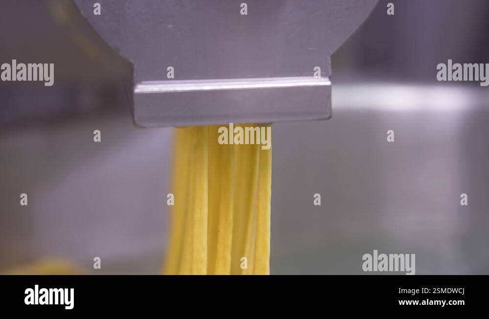 Industrial food and pasta machine. German Spaetzle Homemade Style Made ...