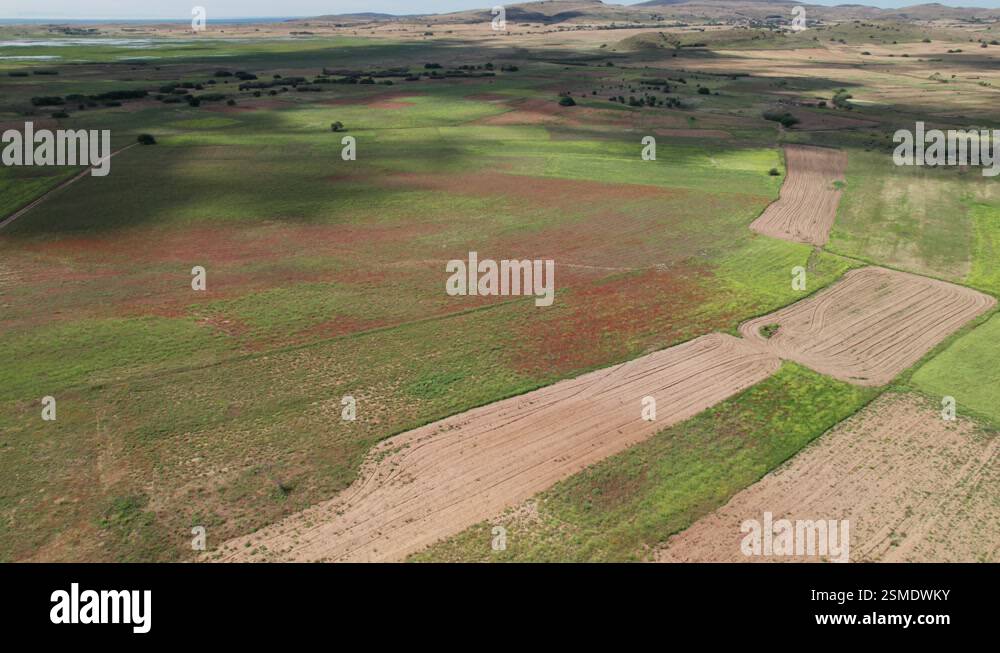 Cloud shadow spreads across open yellow red grassland plains of Lemnos ...