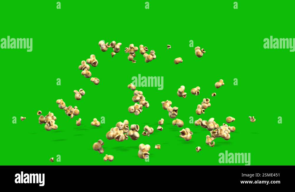 Popcorns pop up, thrown up, and falling down and bouncing on green ...