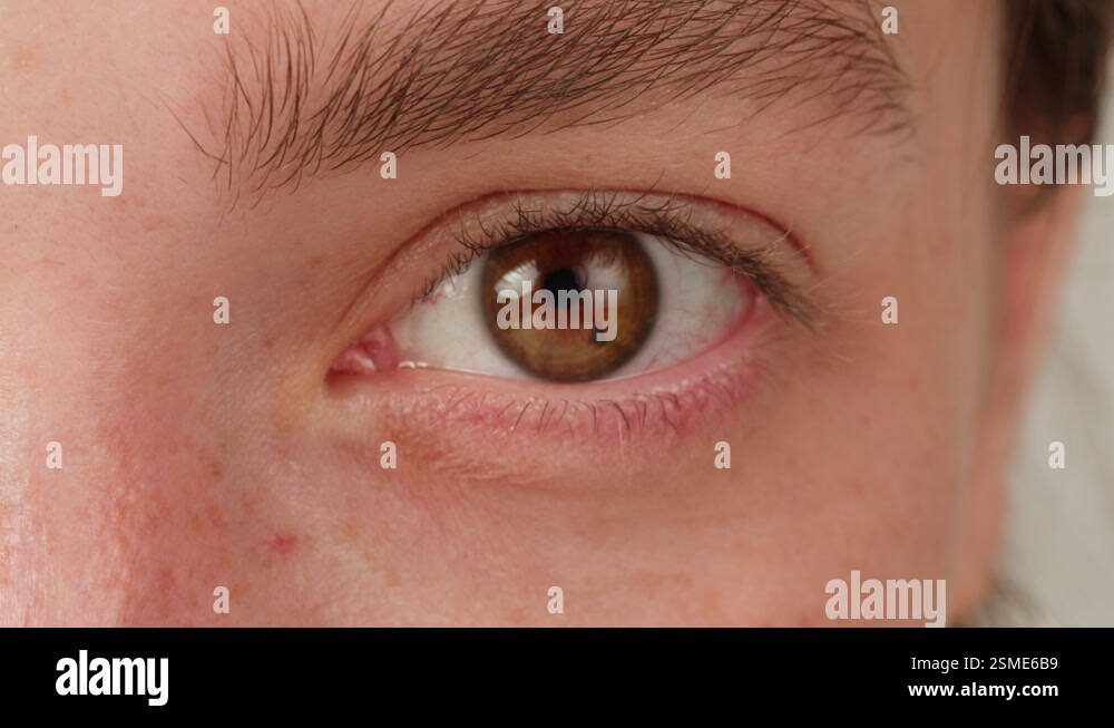 Close-up of brown eyed woman with no make-up on face macro. Blinking ...