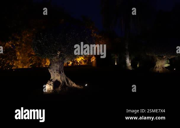 Dramatic outdoor lighting Stock Videos & Footage - HD and 4K Video ...