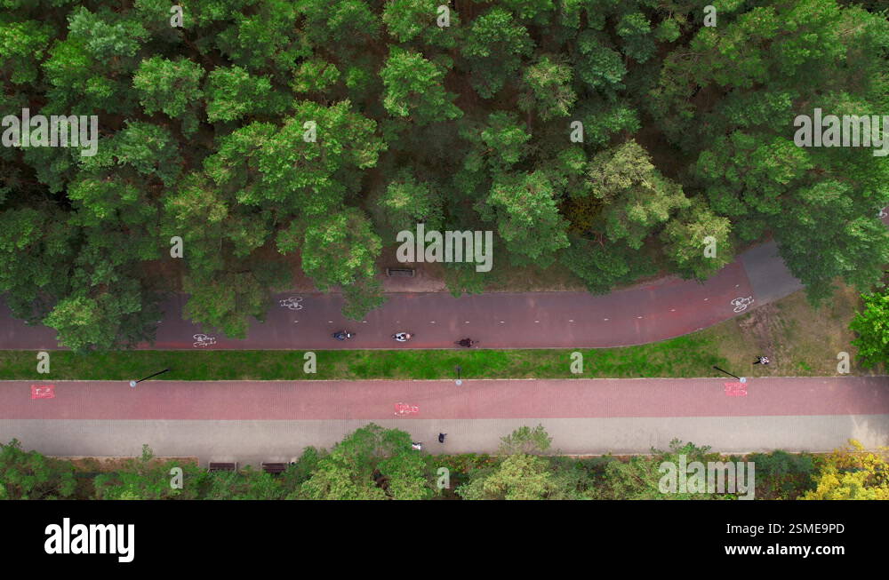 Top view path in park Stock Videos & Footage - HD and 4K Video Clips ...