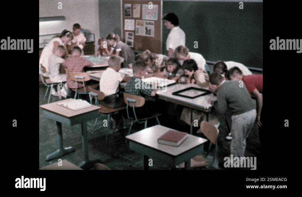 1960s: Classroom. Children mount insects in cases. Katydid on wooden ...