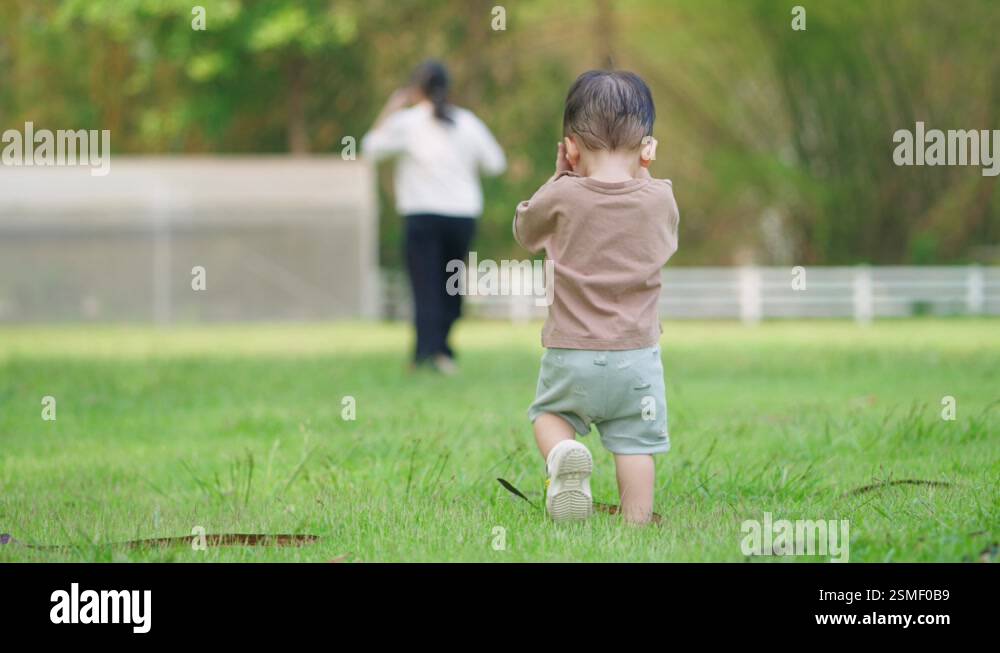 Rear shot toddler asian boy walking on the green grass field following ...
