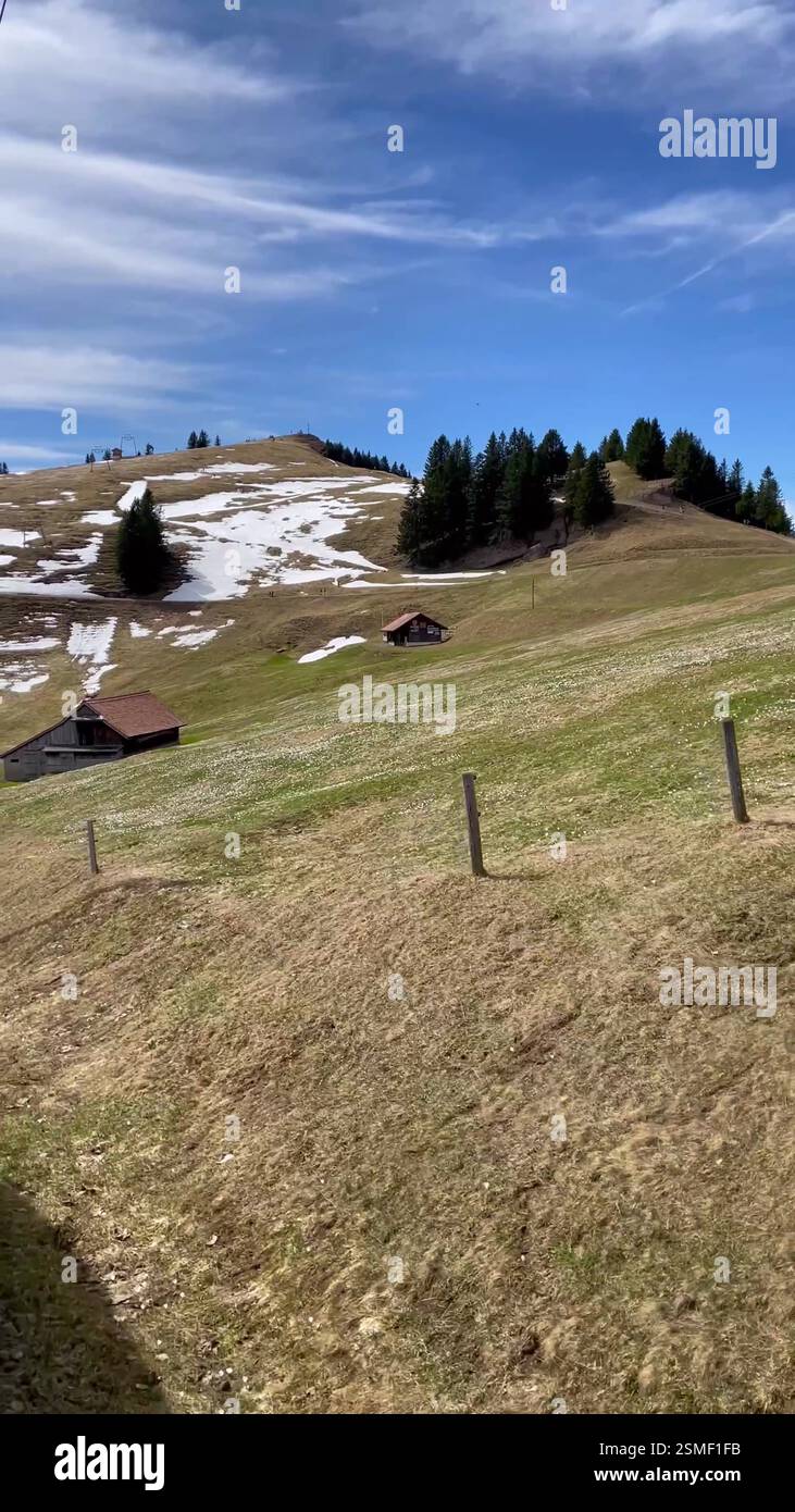Beautiful Greenery view and grass flowers on natural mountain, Rigi ...