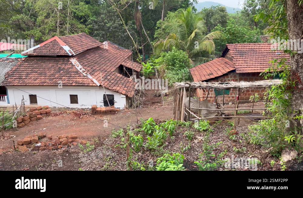Goan village Stock Videos & Footage - HD and 4K Video Clips - Alamy