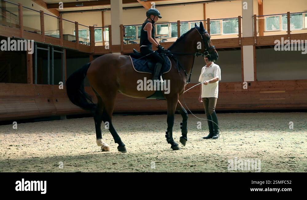 Riding horse backwards Stock Videos & Footage - HD and 4K Video Clips ...