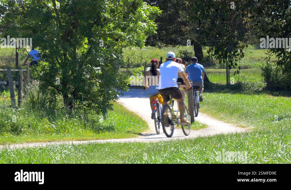 Group of tourists riding bicycles on a bike path on Oleron island ...