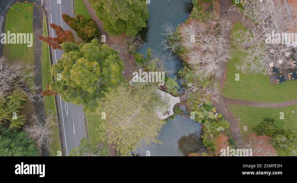 Aerial: top down view of Auckland domain duck pond and gardens, New ...