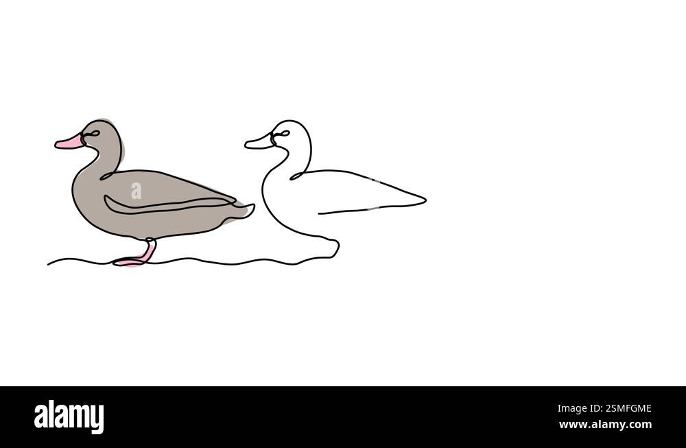 three abstract ducks stand in a row. Self drawing animation one ...