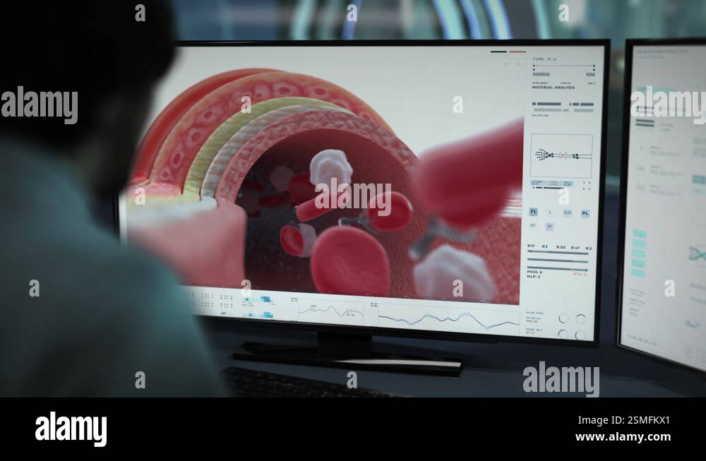 Doctor Scans Cells Flow In Vein To Examine White Blood Cells In Medical ...
