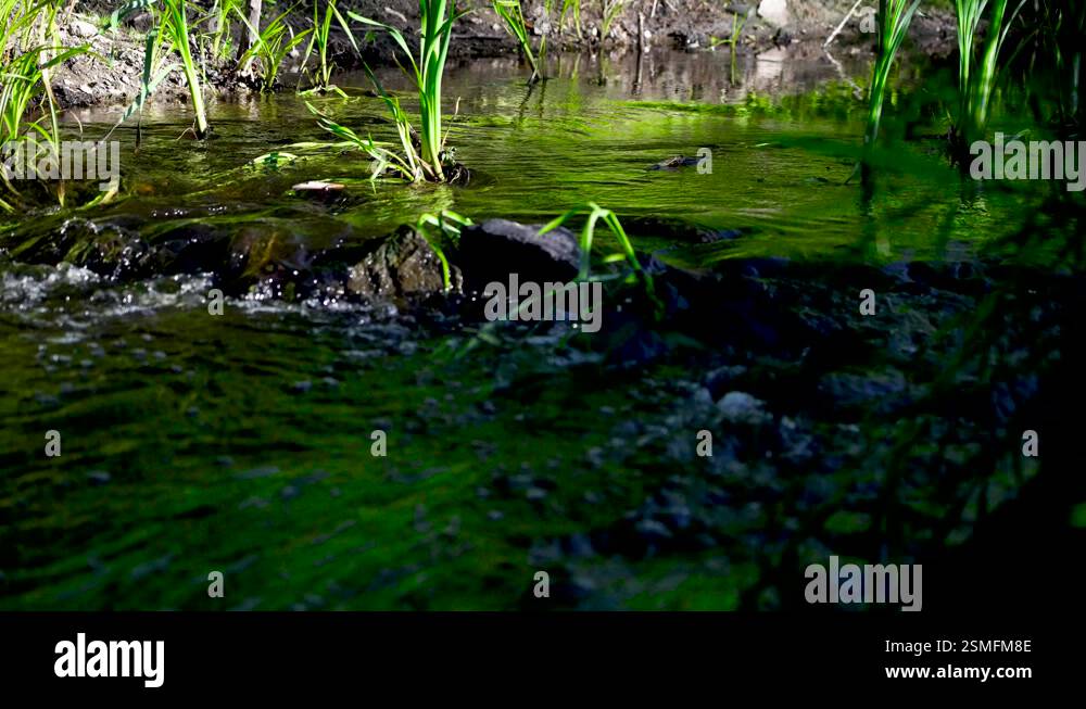 Moving footage from left to right of a river and a rural water stream ...