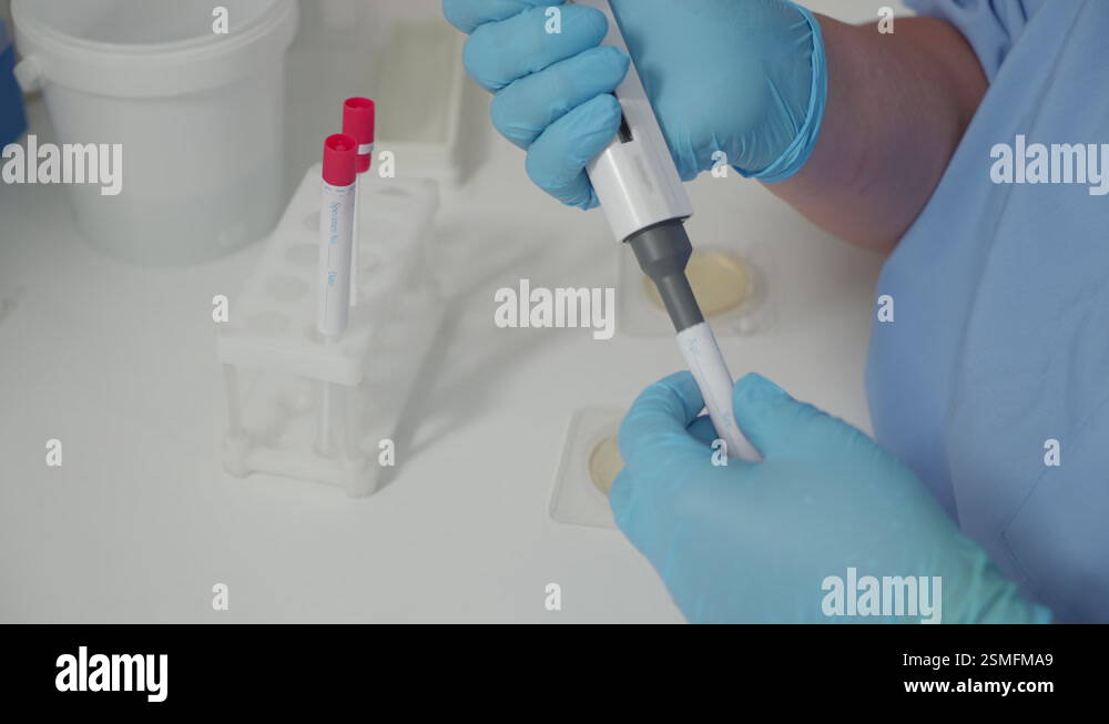 Using Pipette Laboratory Tool To Fill Test Tube With Liquid For 