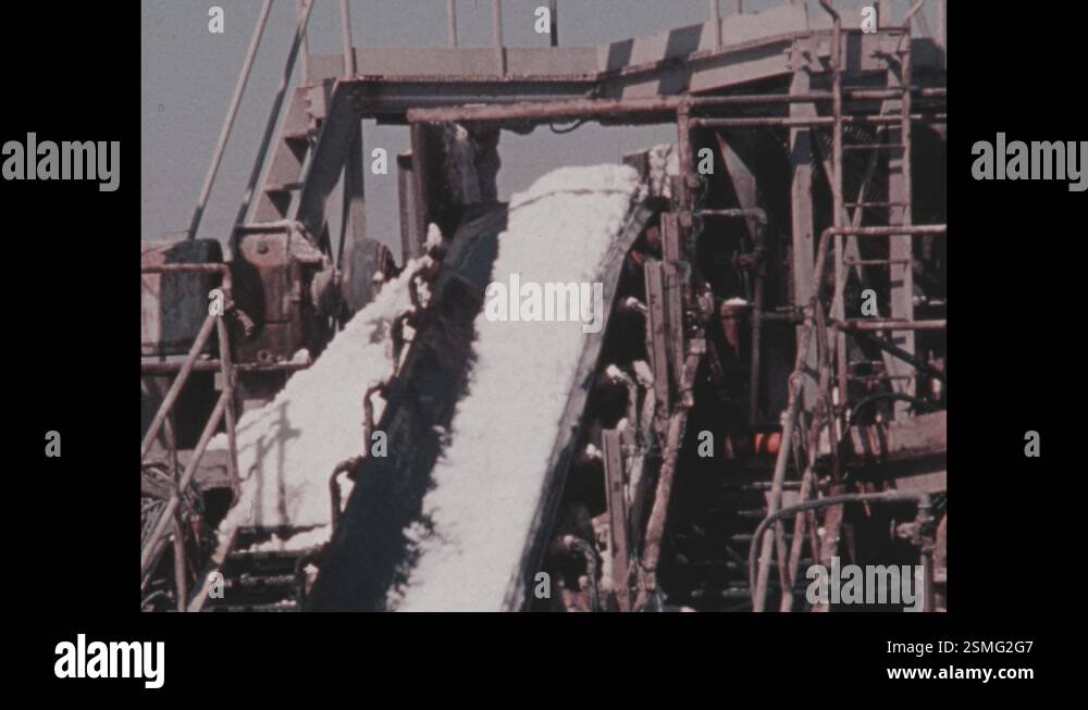 Salt people Stock Videos & Footage - HD and 4K Video Clips - Alamy