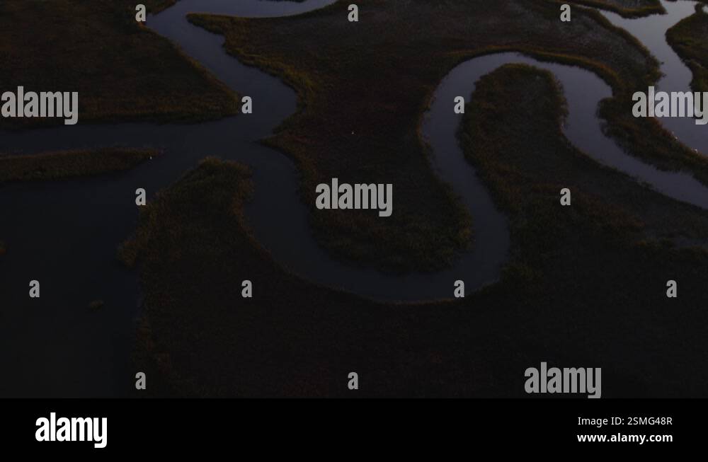 Meandering river snakes through open wetland swamps at sunset, dark ...