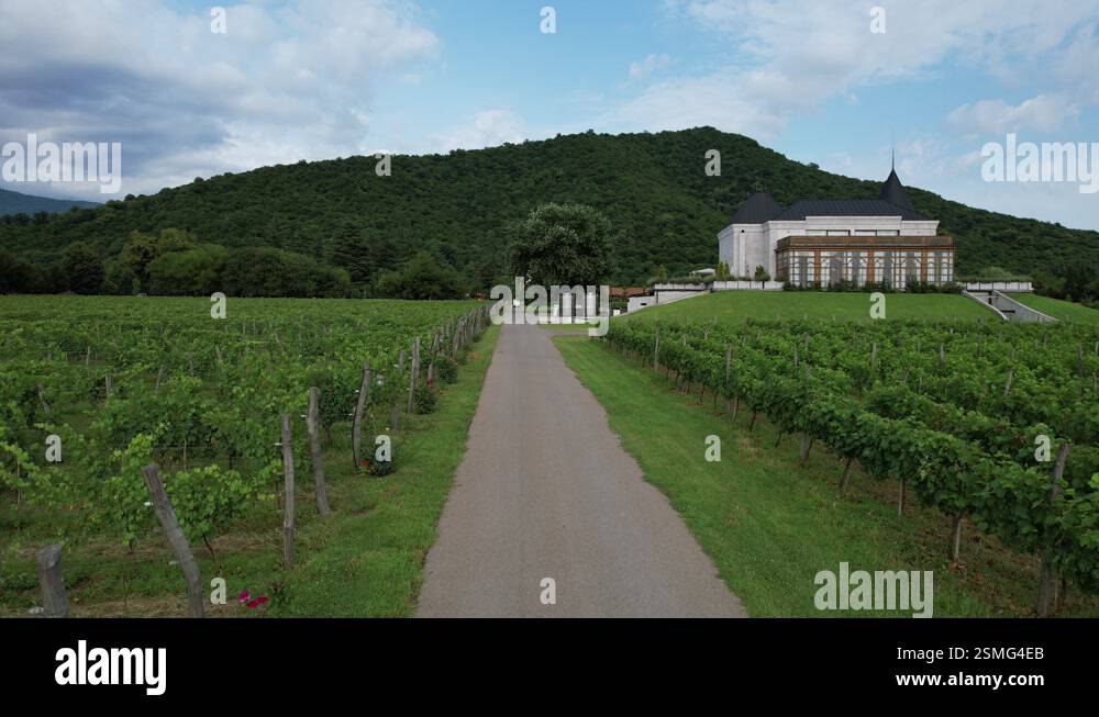 Chateau Buera Winery, sand vineyards situated in the heart of the ...