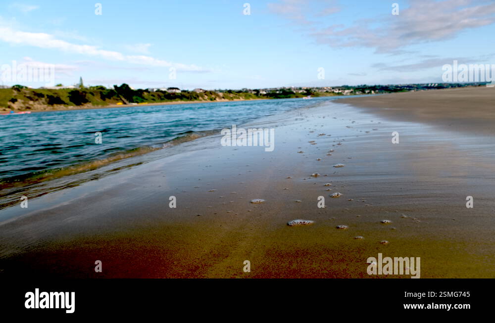 Coastal habitat in intertidal zone of Goukou estuarine river in Still ...