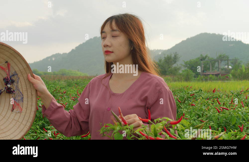 Young vietnamese woman wearing traditional farmer cclothing and rice ...